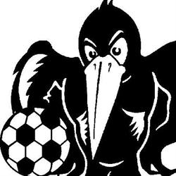 Tanunda Netball Club - Sports Clubs in Tanunda Bilyara Road, Tanunda ...